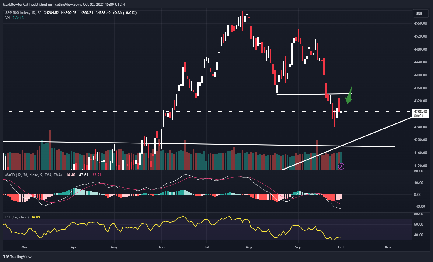 Large-Cap Technology resilience helping US Equity market - FS Insight